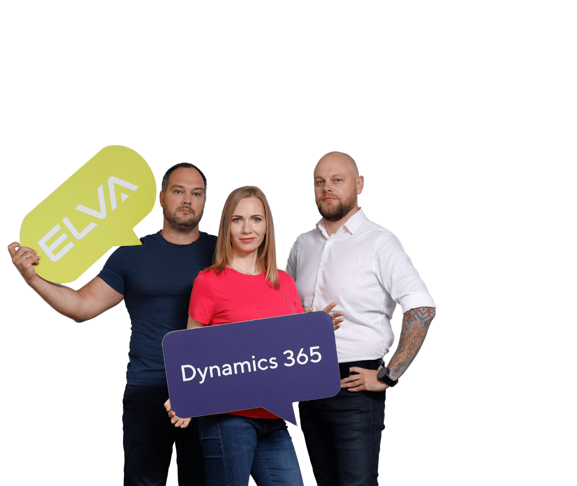 AI Microsoft Copilot and ELVA expertise